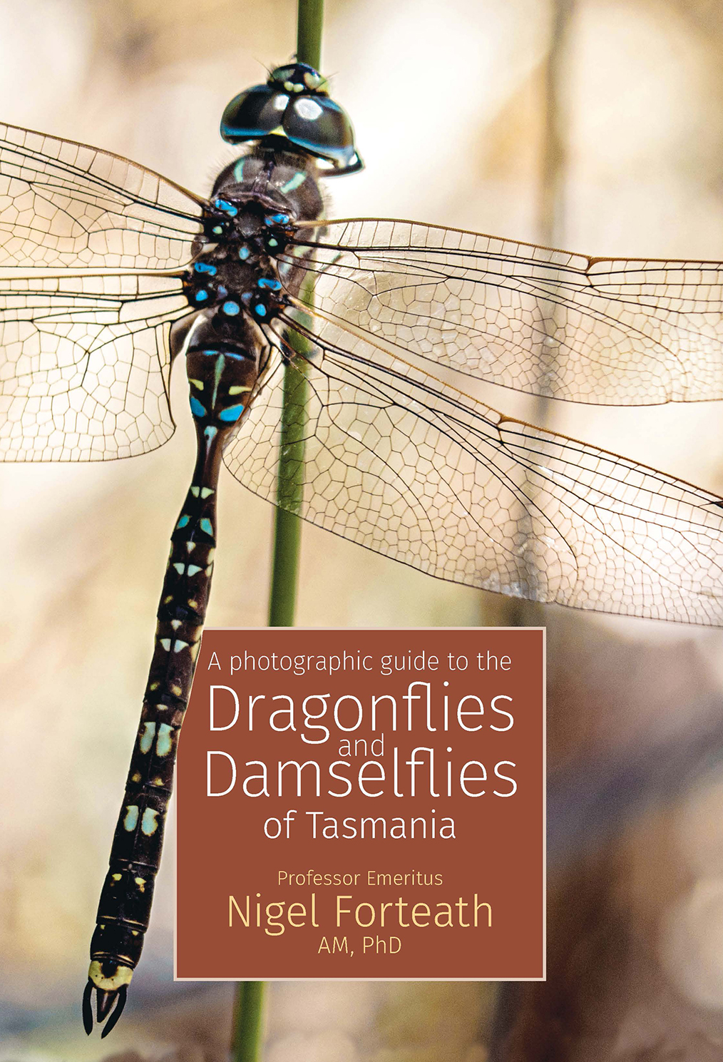 A Photographic Guide to the Dragonflies & Damselflies of Tasmania ...